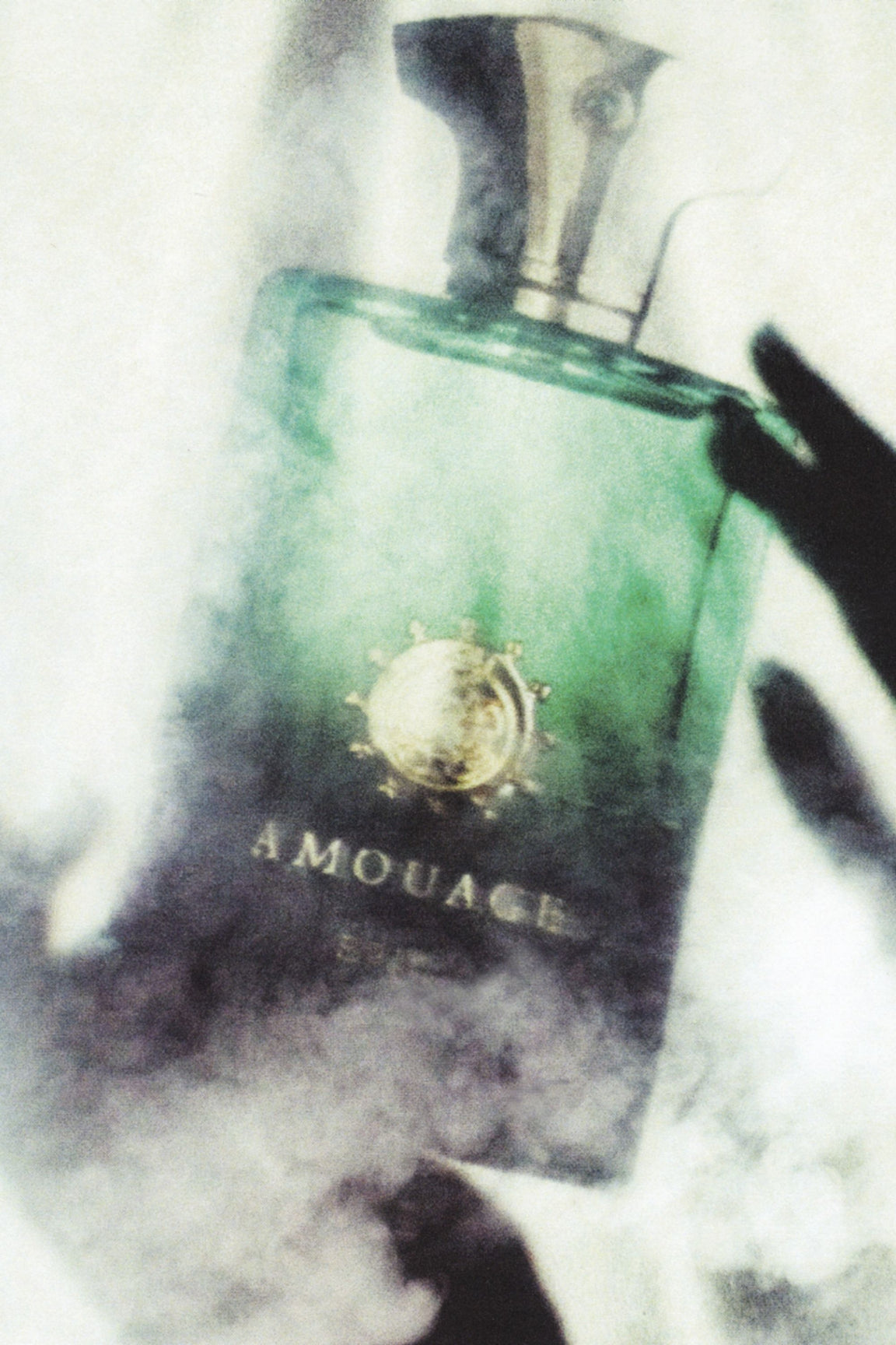 WORLD Beauty's Collection of Luxury Fragrances