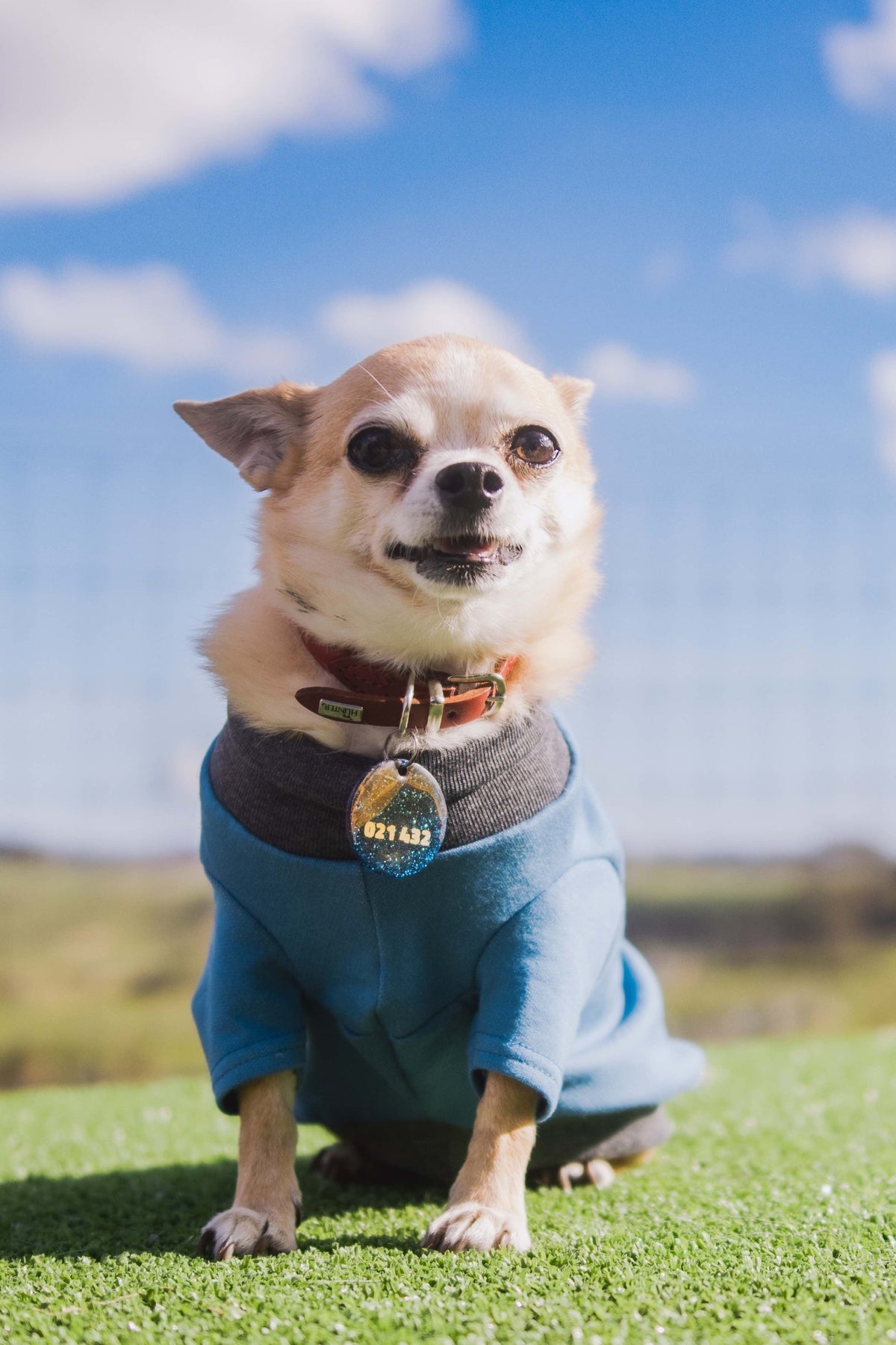 WORLD Loves Mr.Soft Top x Pet Refuge Weekend Sweater