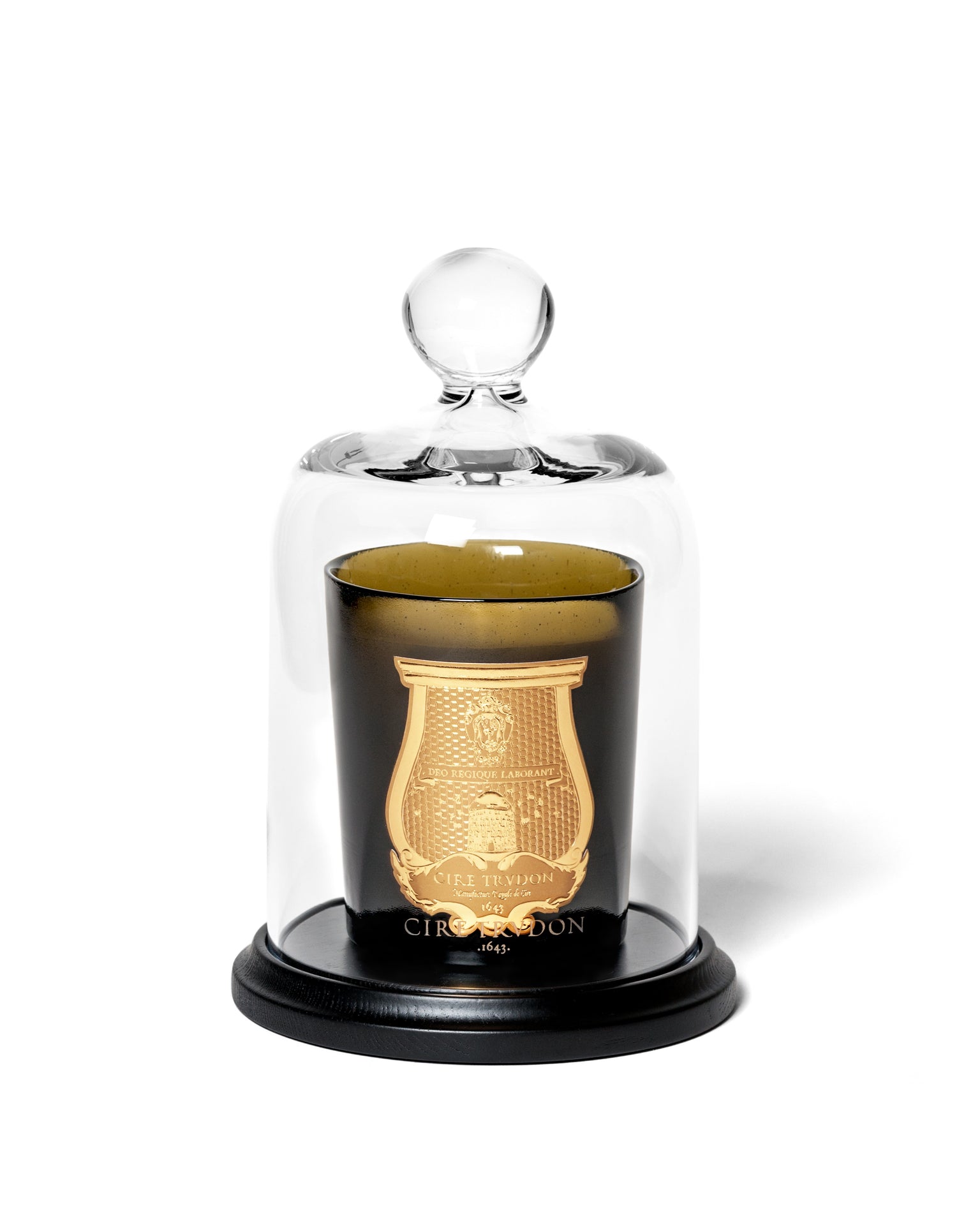 Trudon — WORLD