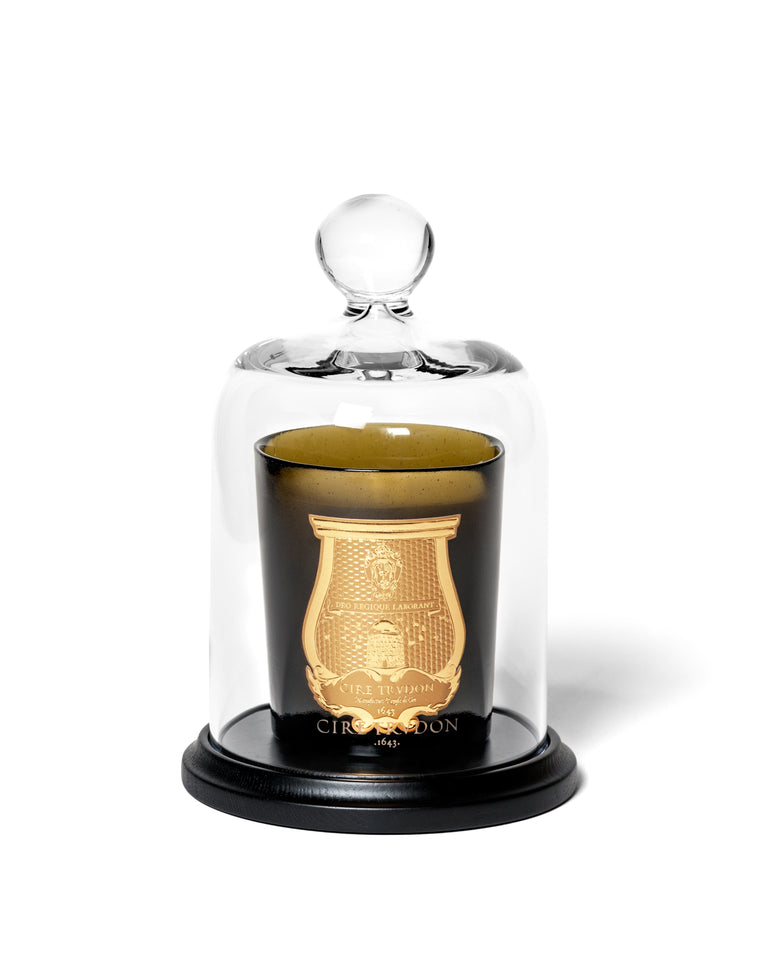 Trudon — WORLD