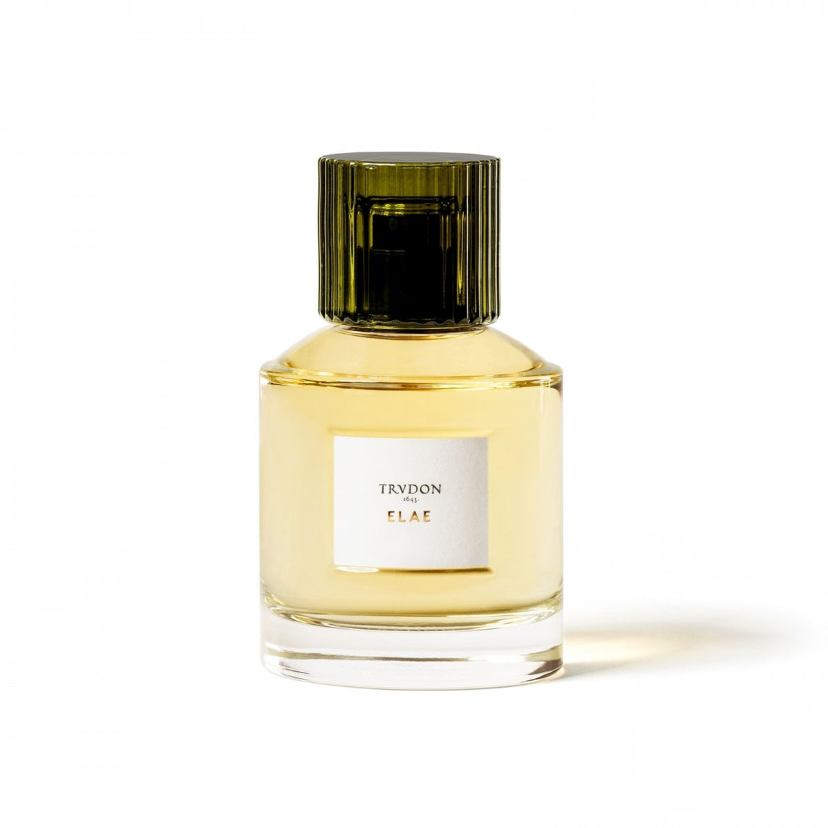 Trudon — Page 4 — WORLD