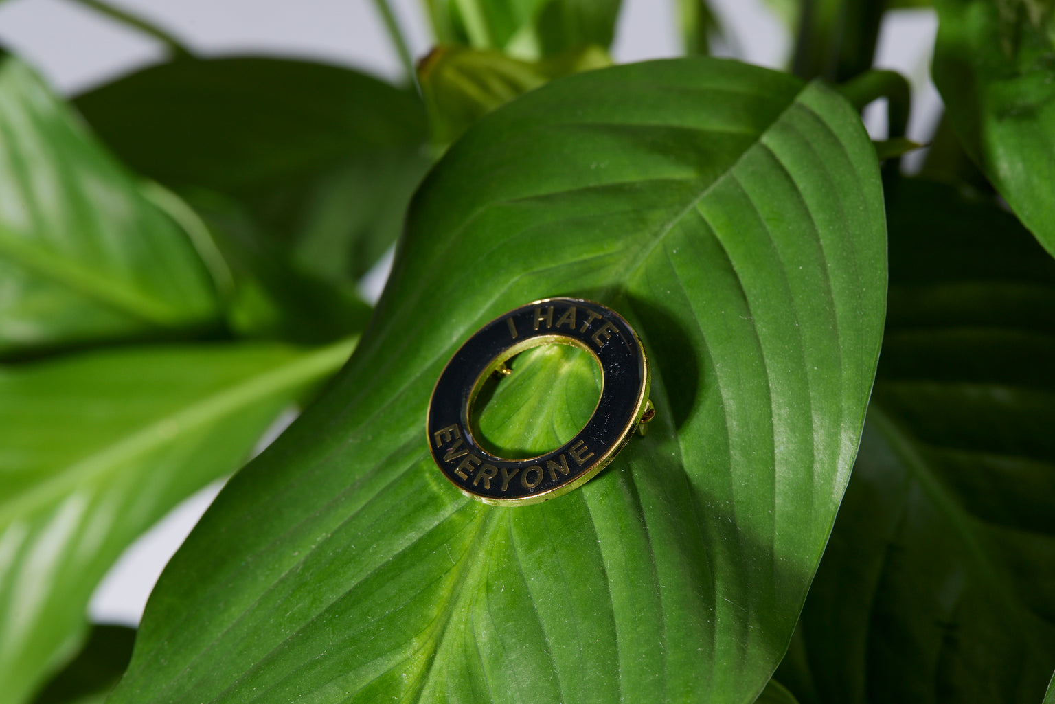 Explicit Language Warning — WORLD