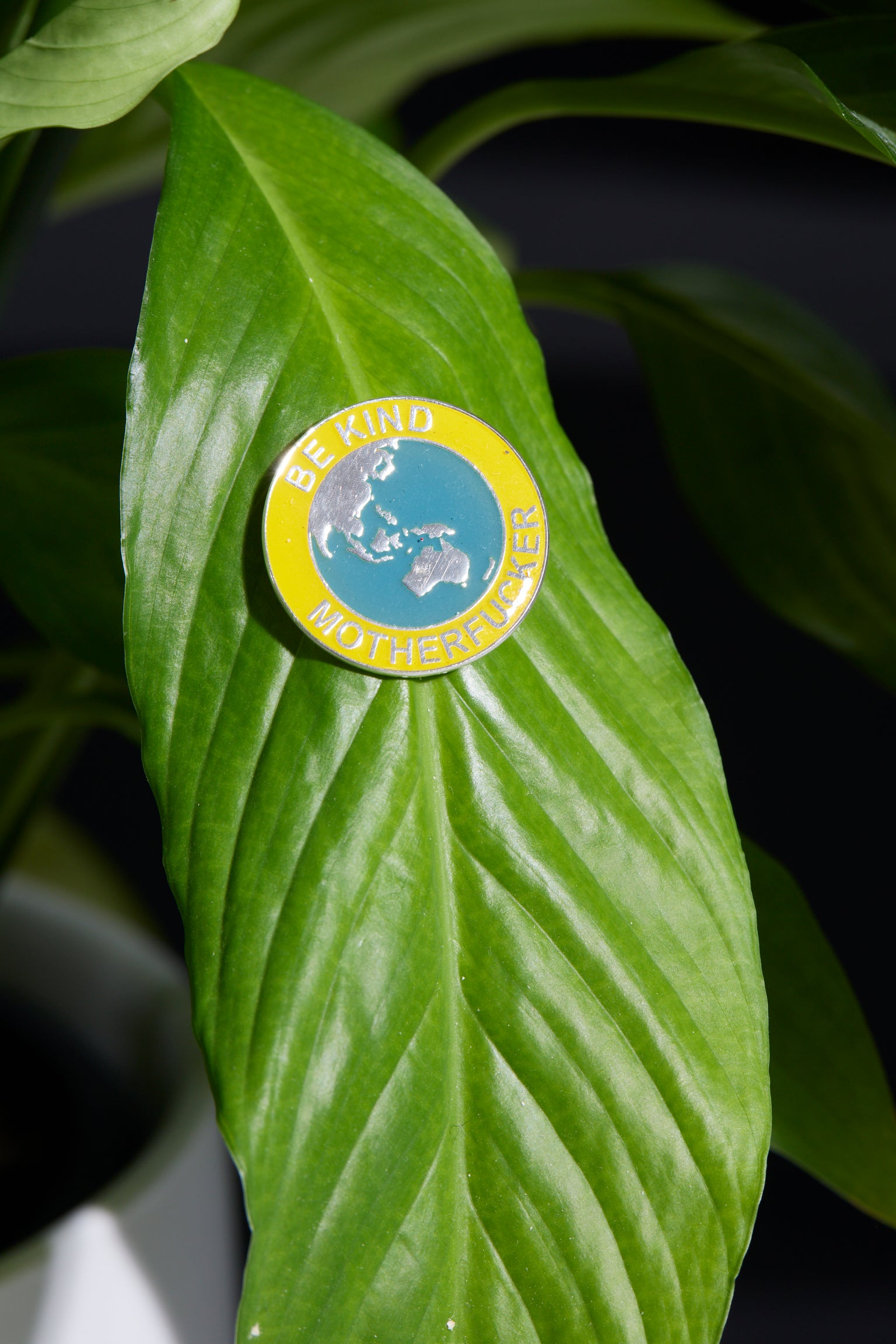 Explicit Language Warning — WORLD