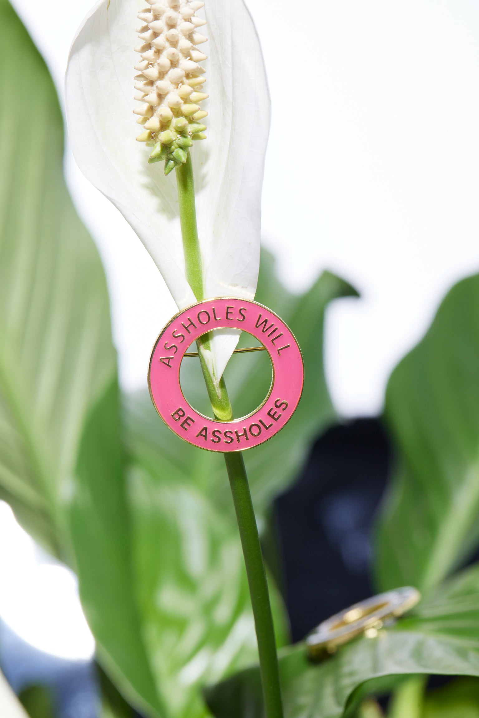 Explicit Language Warning — WORLD